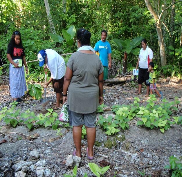 Taiwan Technical Mission assists Sonsorol Farm... - Embassy of the ...